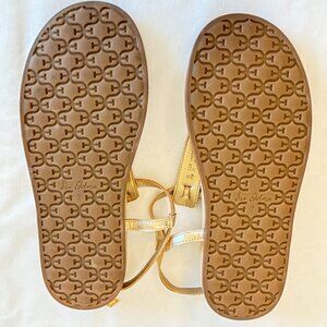 Sam Edelman | Shoes | Sam Edelman Naomi Sandals In Gold Metallic ...